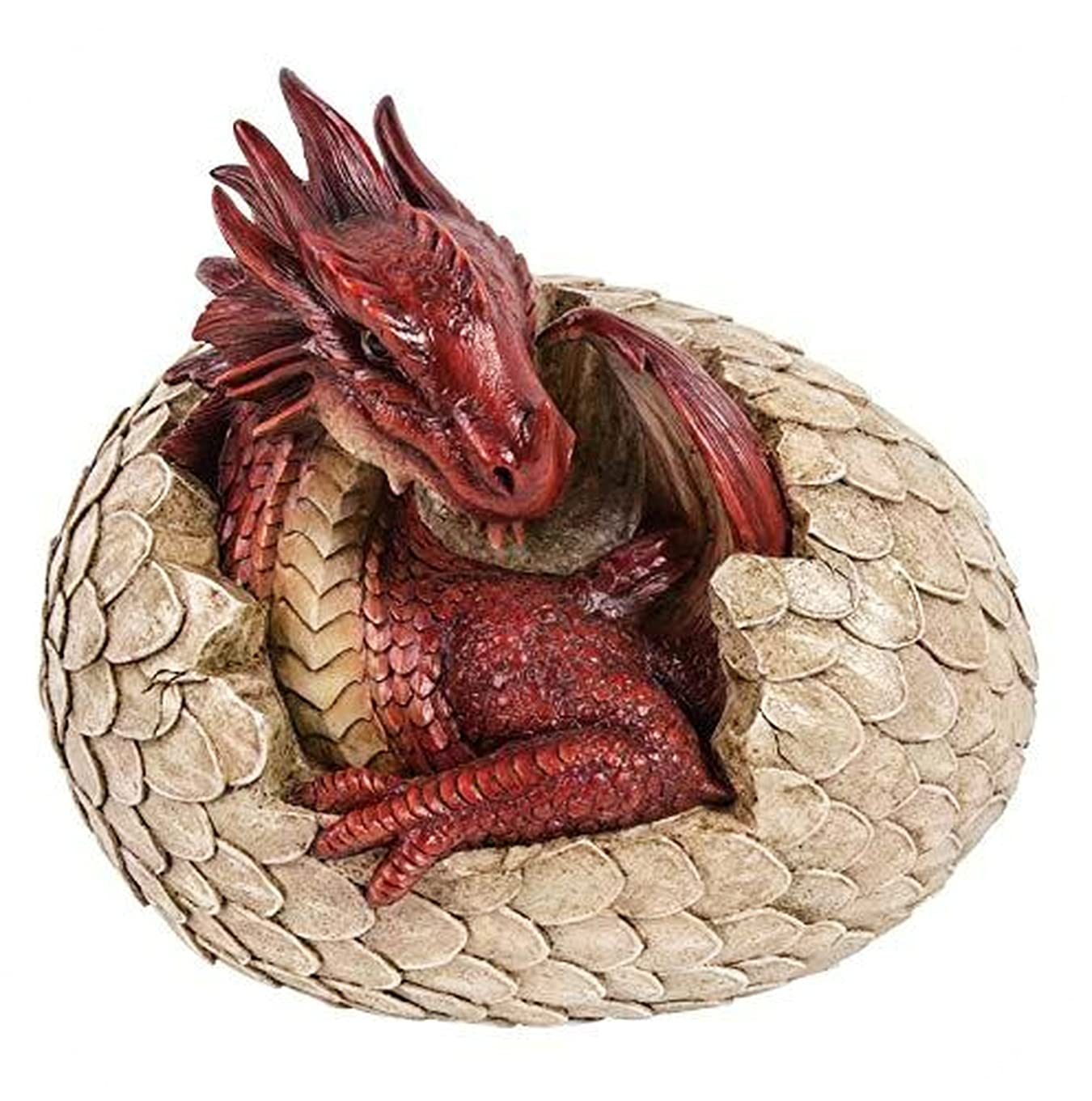 Real Dragon Eggs Hatching