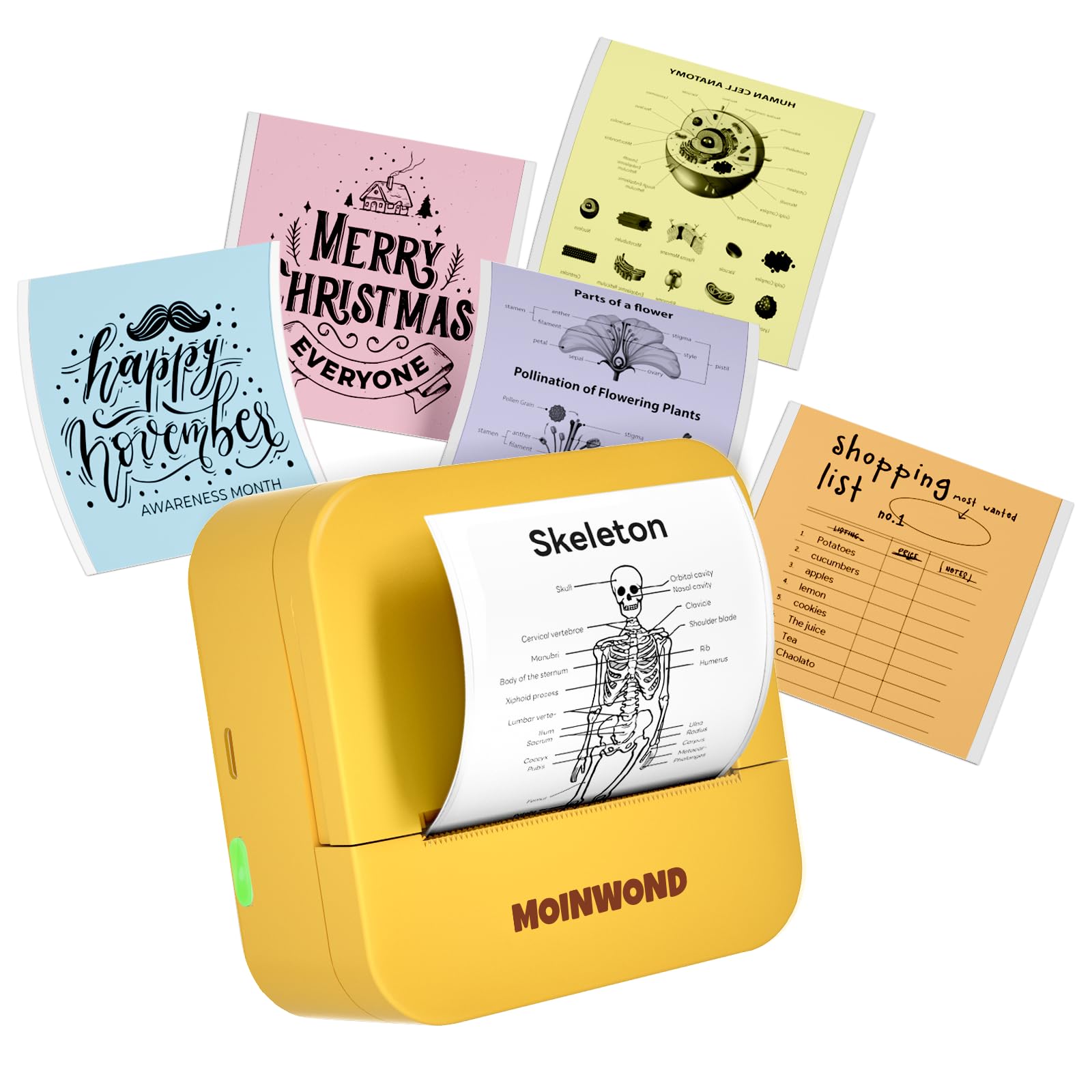 Amazon.com: Notebuddy Mini Sticker Printer Doodle Dash Portable Thermal Printer Inkless Pocket ...