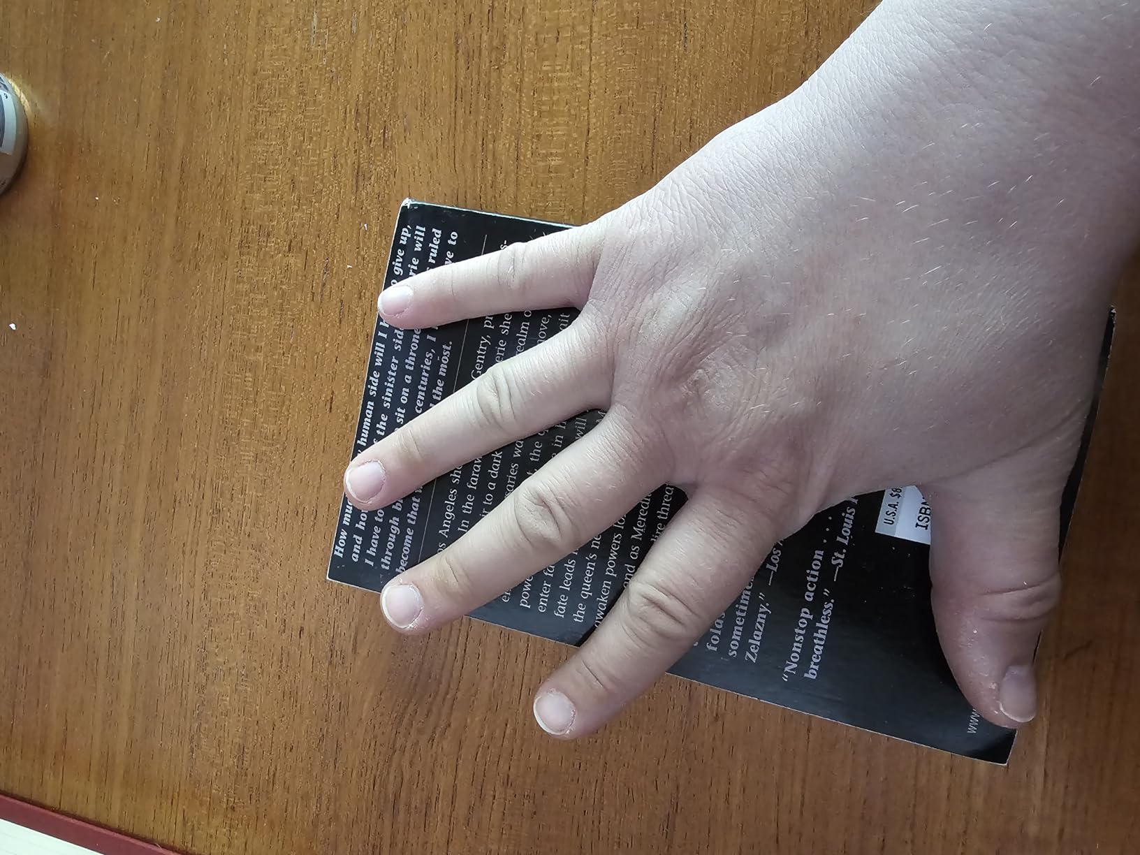 A Stroke of Midnight (Meredith Gentry, Book 4): Hamilton, Laurell K ...