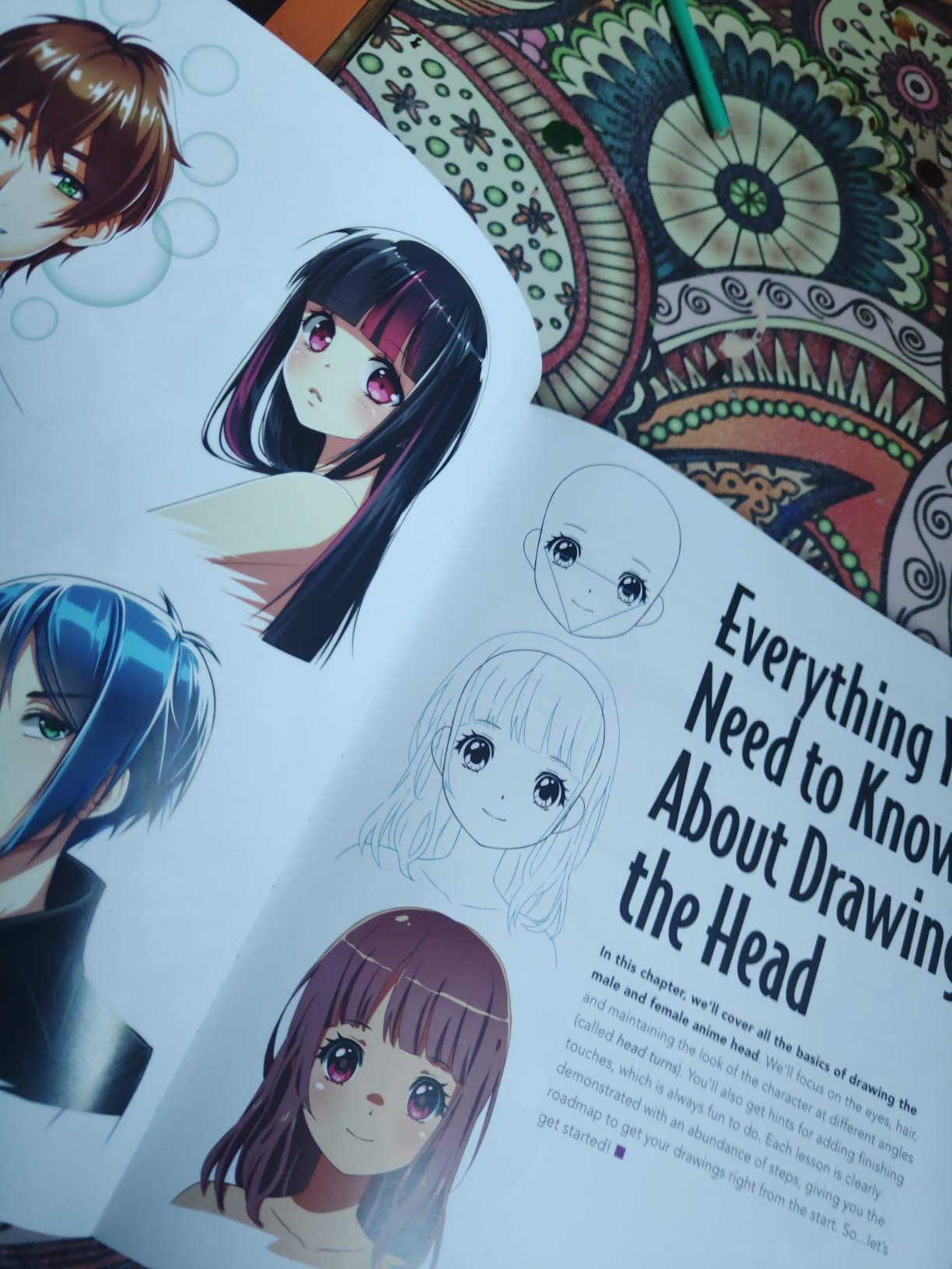 THE MASTER GUIDE TO DRAWING ANIME: TIPS : Hart, Christopher: Amazon.in ...