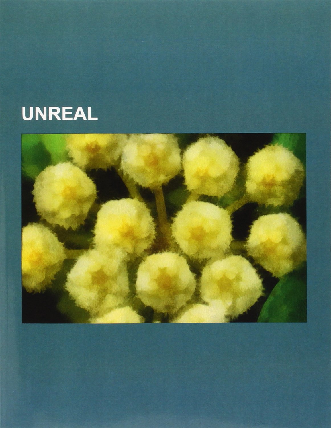 Buy Unreal Unrealscript Unreal Tournament List Of Unreal Characters Unreal Tournament