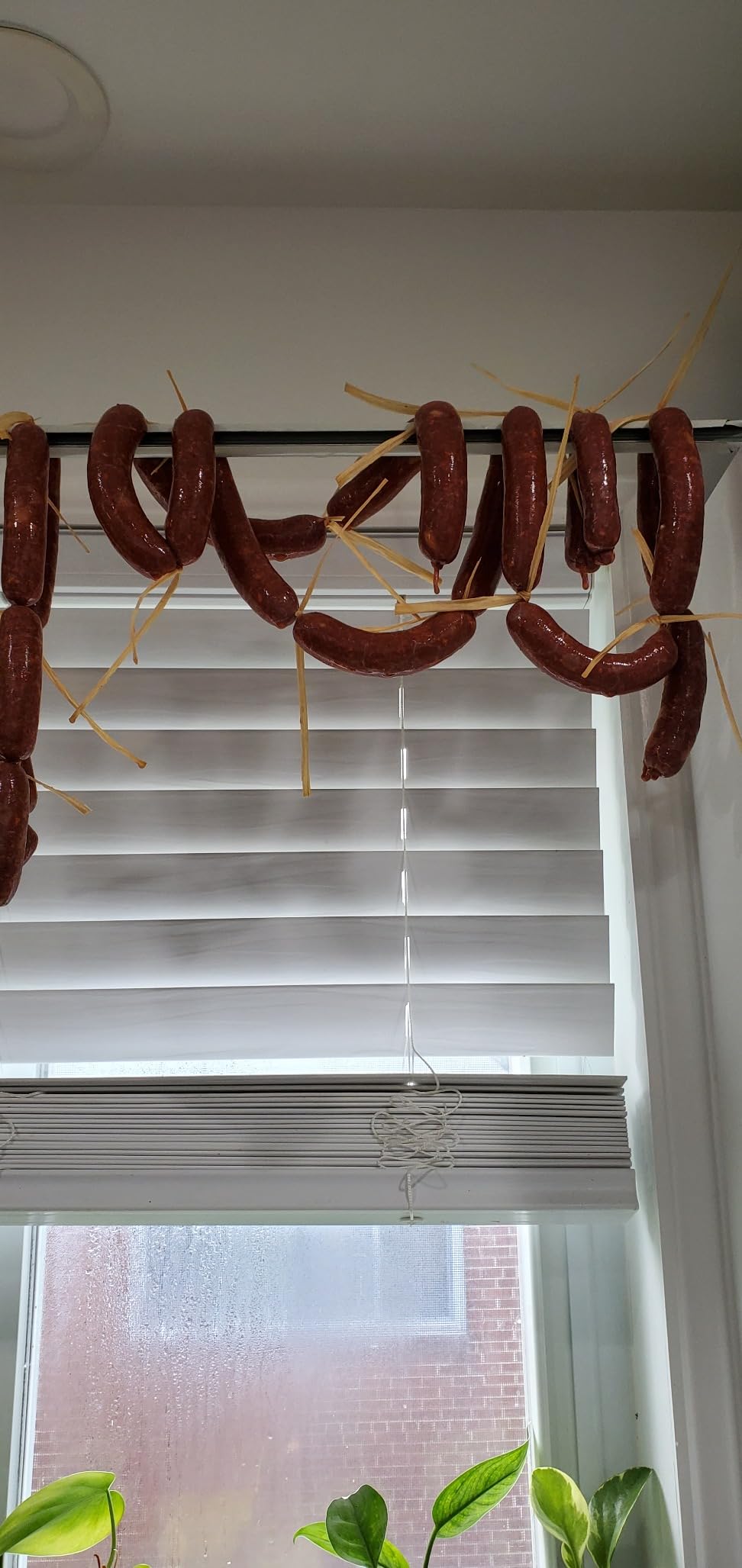 $4/mo - Finance Natural SHEEP Casings for Sausage Making, 24-26mm ...