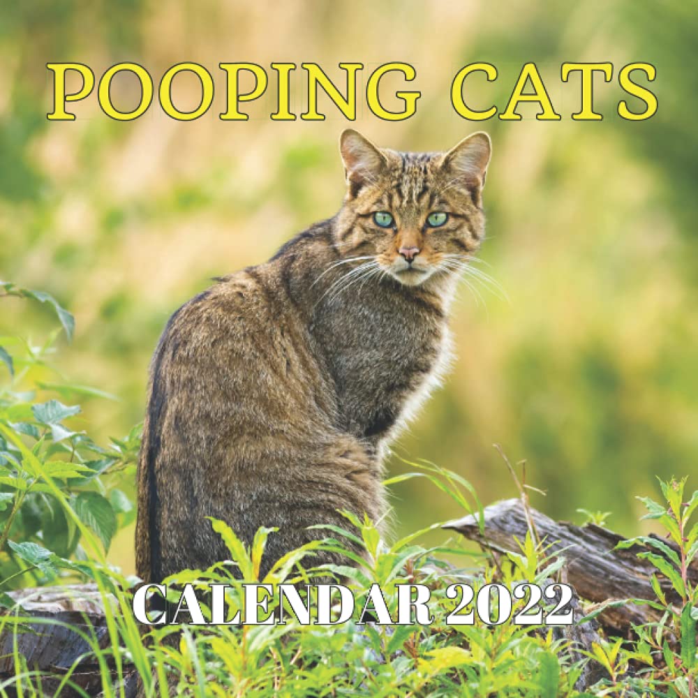 Buy Pooping Cats 2022: Funny Gifts Ideas for cats Lover or Owner Men ...