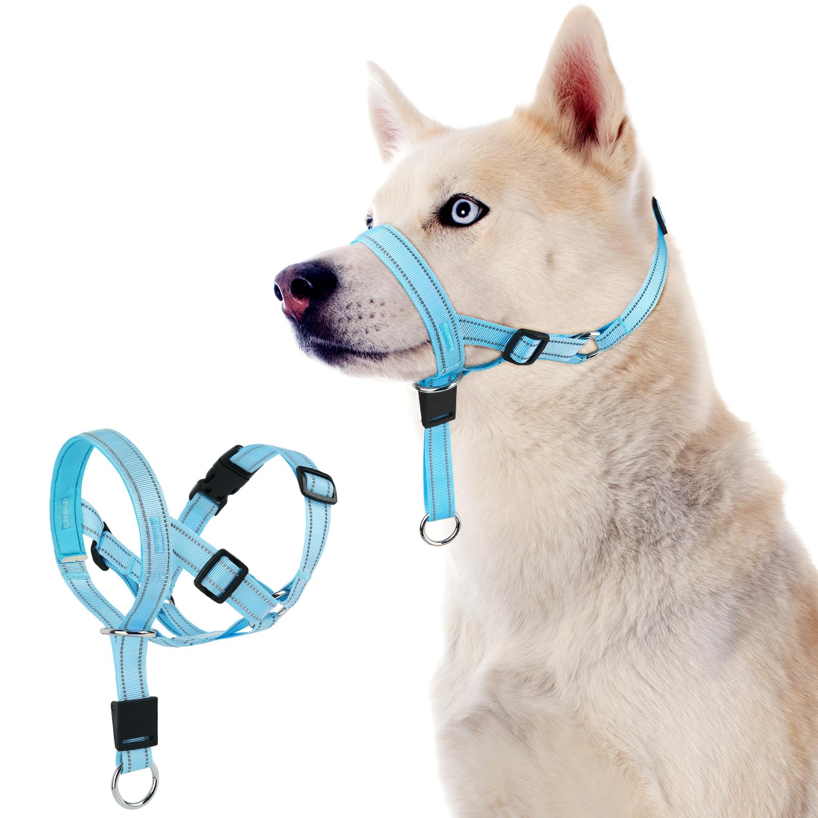 Amazon.com : DOMIGLOW No-Pull Dog Headcollar - Reflective Head Halter ...
