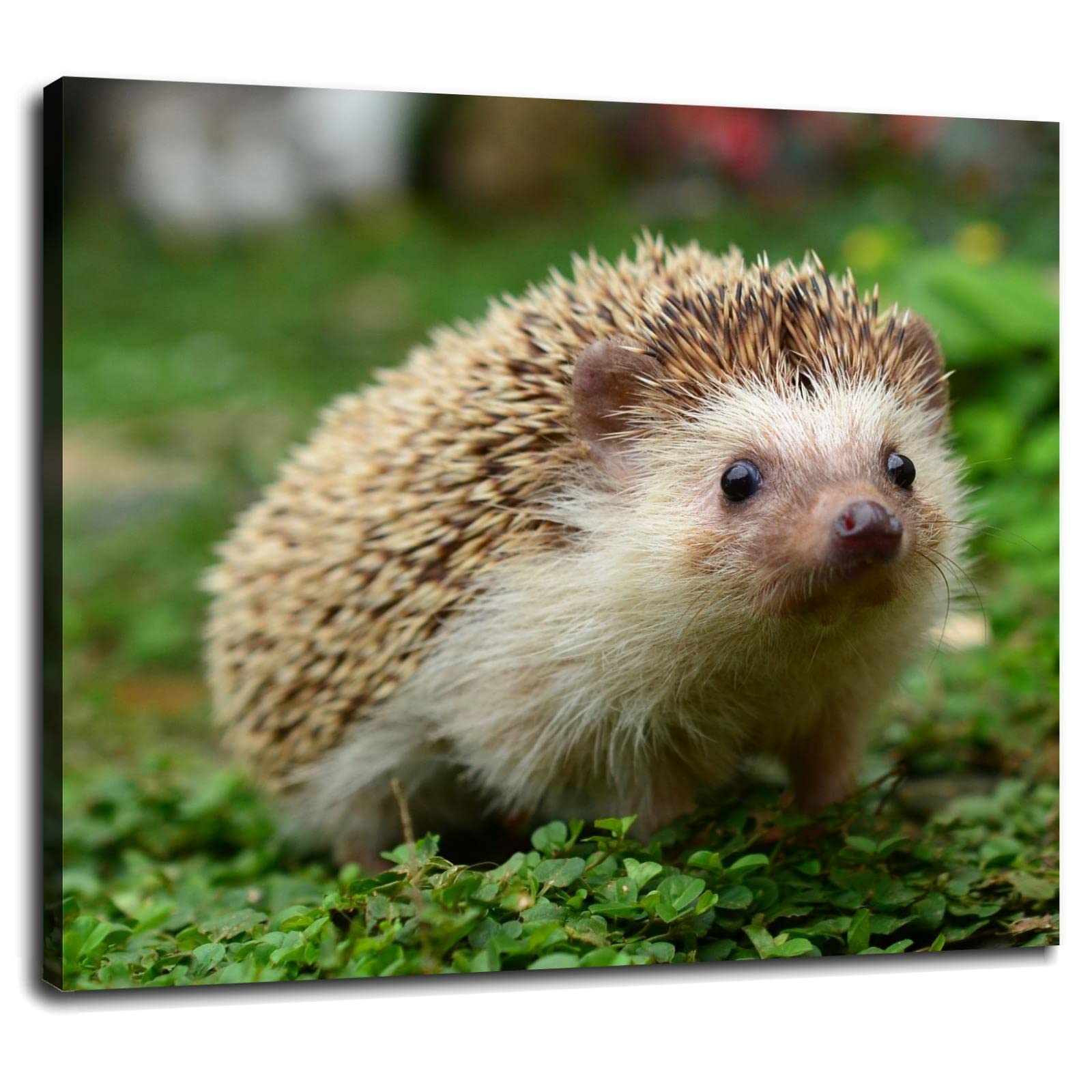 Hedgehog Oil Painting