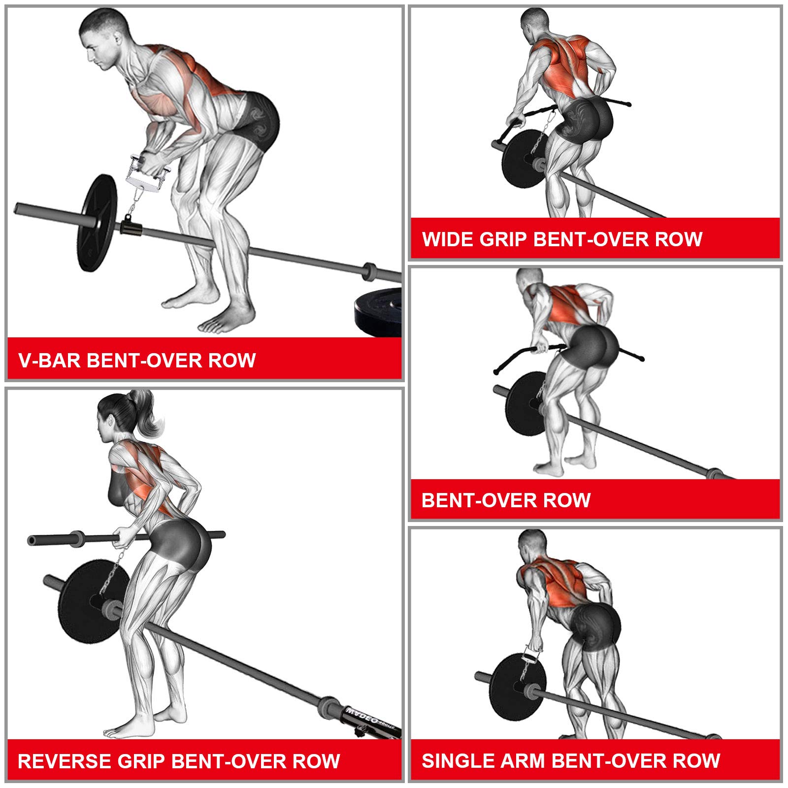 Buy WADEO T Bar Row Attachment With Landmine Eyelet Attachment buy-wadeo-t-bar-row-attachment-with-landmine-eyelet-attachment
