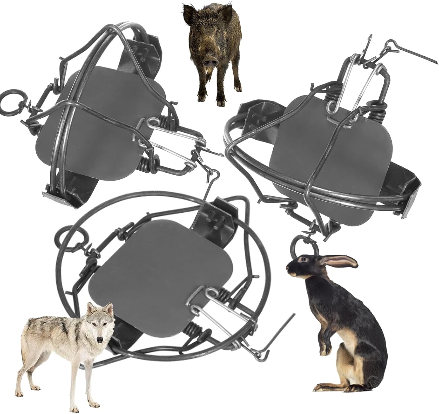 Amazon.com : 𝐒𝐦𝐚𝐥𝐥 𝐀𝐧𝐢𝐦𝐚𝐥 𝐓𝐫𝐚𝐩𝐬 Reusable Outdoor Trap Spring Trap 2 ...