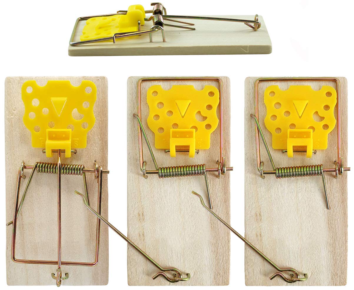 Buy Enhanced Traditional Wooden Mouse Traps Set of 3, Humane Rodent ...