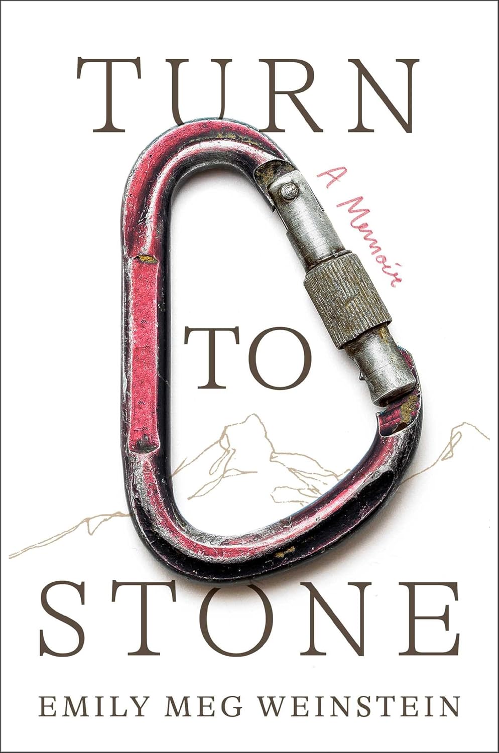 Turn to Stone: A Memoir: Weinstein, Emily Meg: 9781668047859: Amazon ...