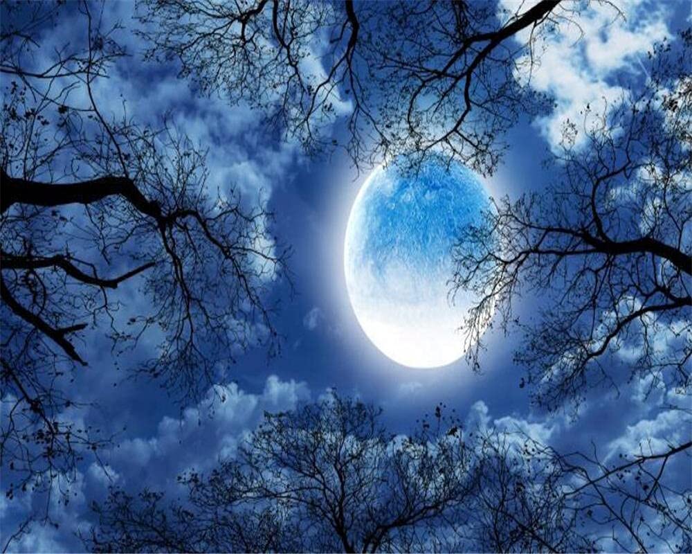 Moon Star Sky Ceiling Murals