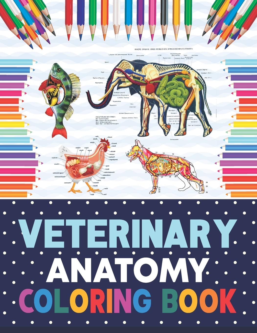 Buy Veterinary Anatomy Coloring Book: Introduction to veterinary ...