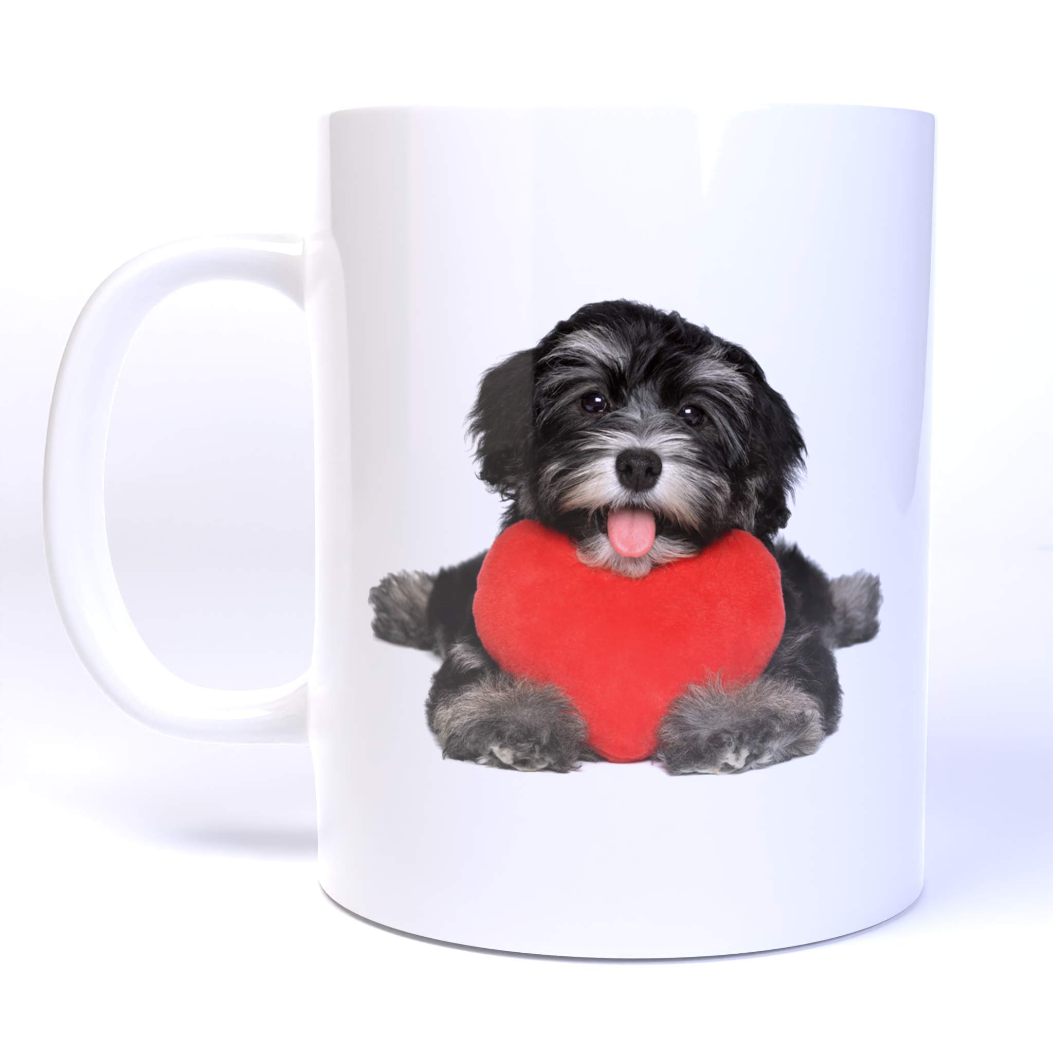 Teacup Havanese