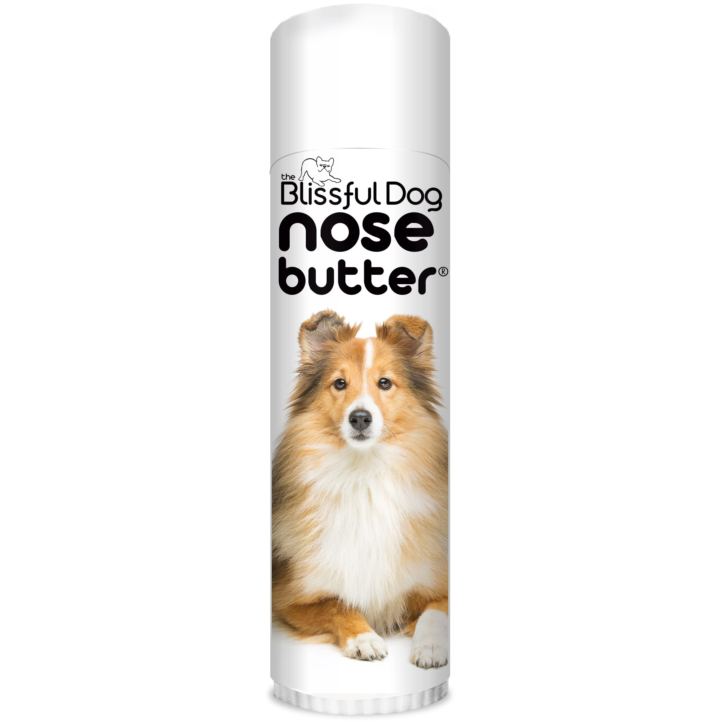 Sheltie Chow Mix Puppies