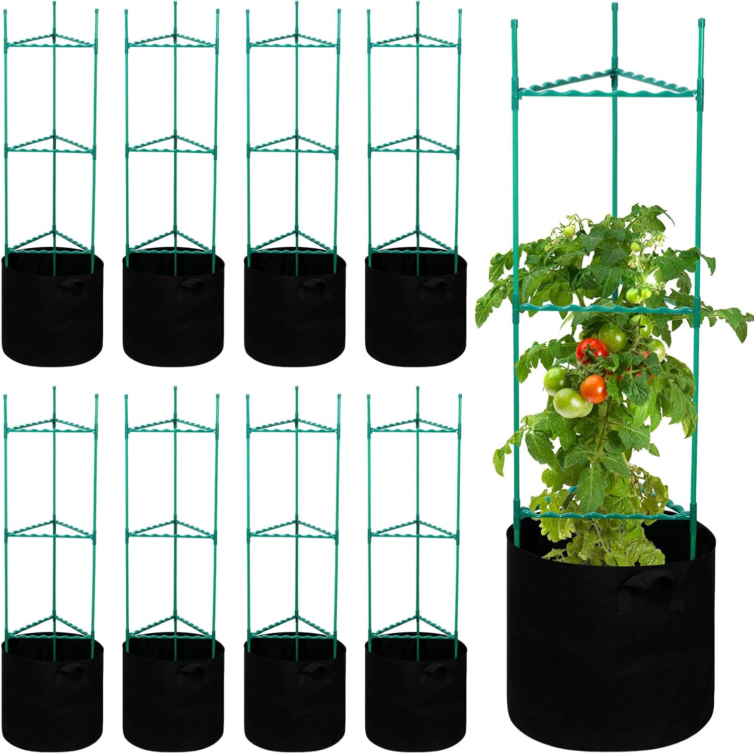 Amazon.com : Landical 48 Inch Tomato Cages with 15 Gallon Grow Bags ...