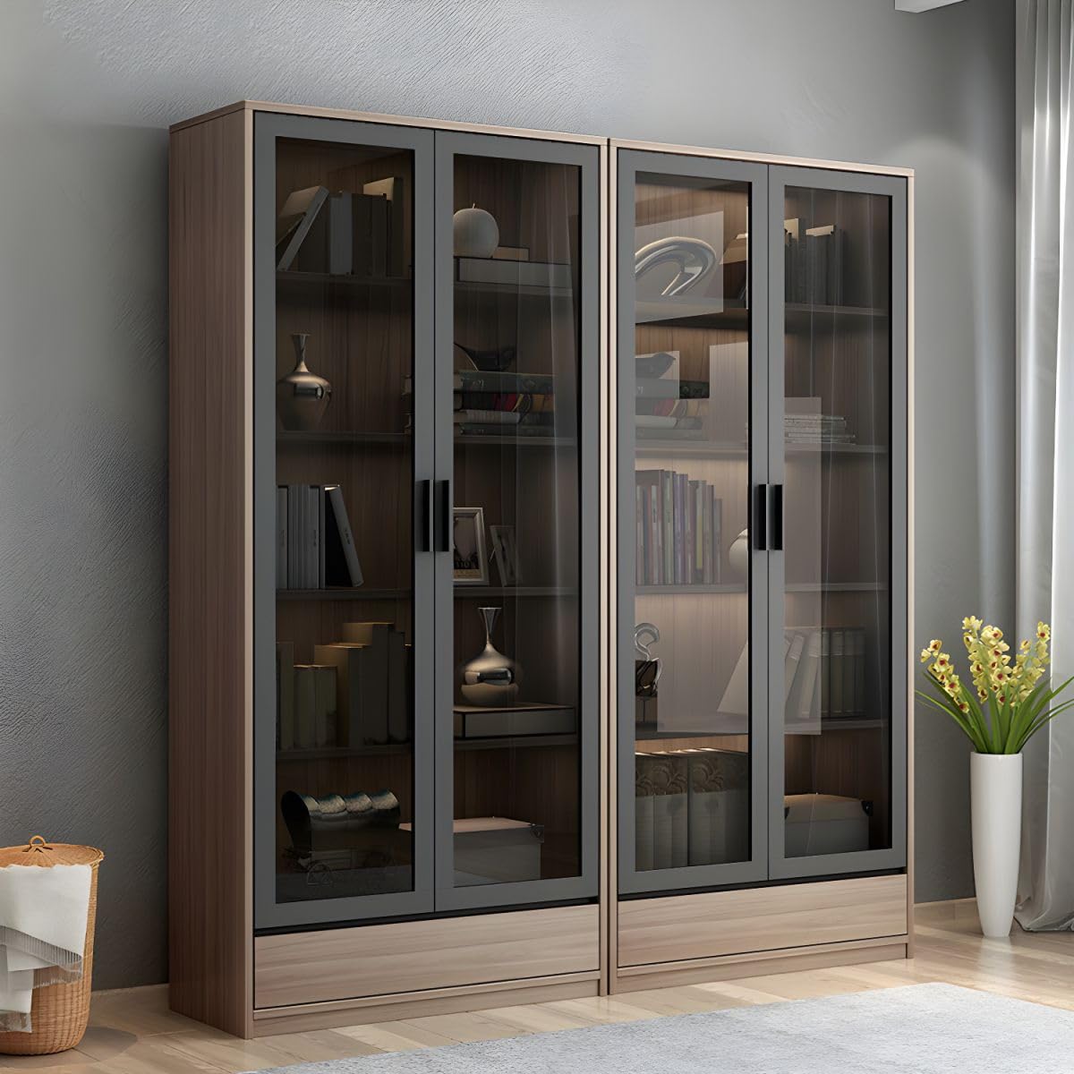 Modern Bookshelves With Doors