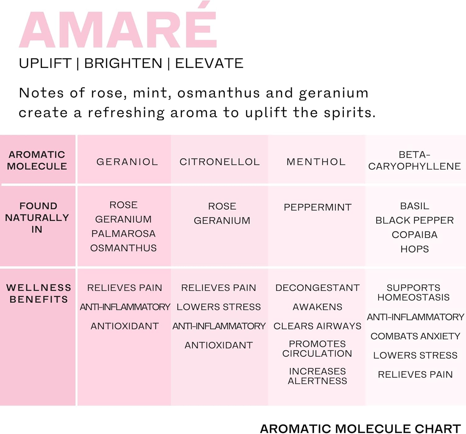 Vela de bienestar orgánica de Rose Mint Amaré CandaScent Labs ...