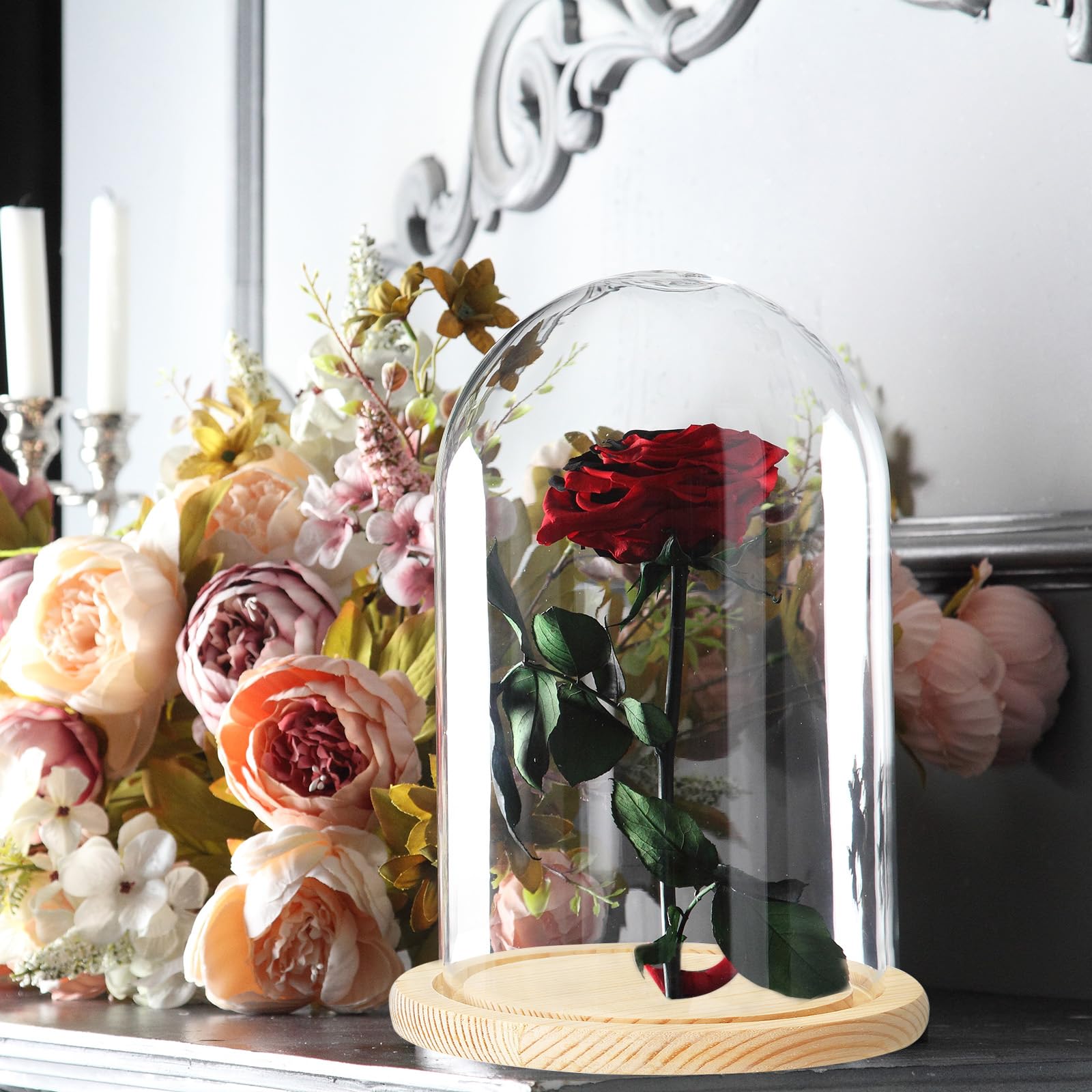 Glass Dome With Base 4 Pcs Clear Glass Dome Cloche With Led Fairy Light ...
