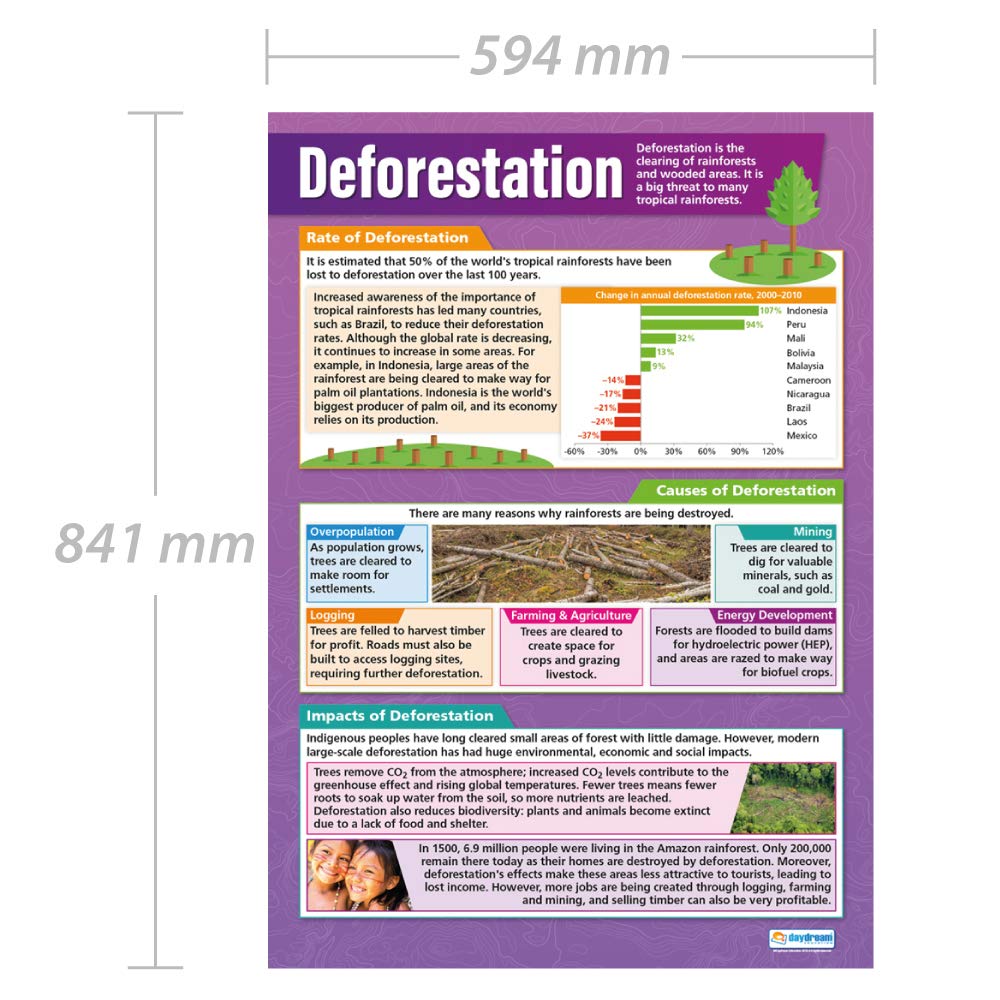 Deforestation Educational Poster