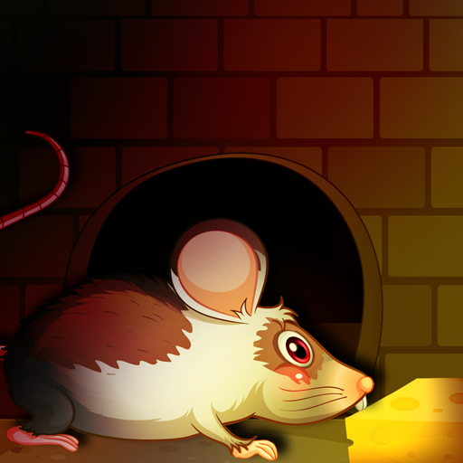 Mouse Maze Labyrinth : The Cat and Mice chase race around the House ...