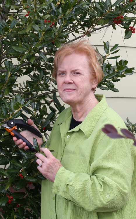 Amazon.com: Judy Lowe: books, biography, latest update