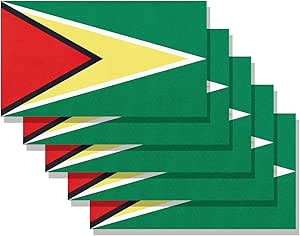 Amazon.com - vpisun Guyana Flag Vinyl Decal - Tactical Guyanese Flag ...
