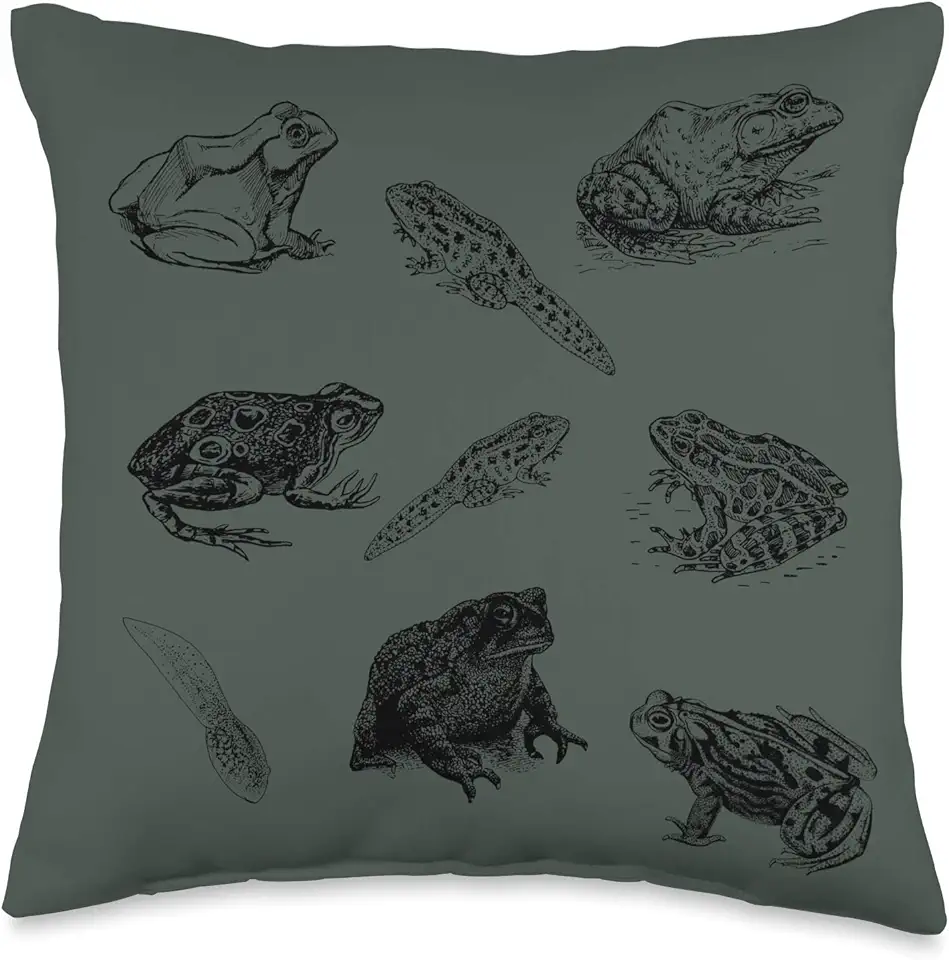 Understanding The Life Cycle Of Toads: From Tadpoles To Adult Toads ...