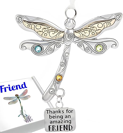 Amazon.com: Best Friend Ornaments for Women Thanks for Being an Amazing ...