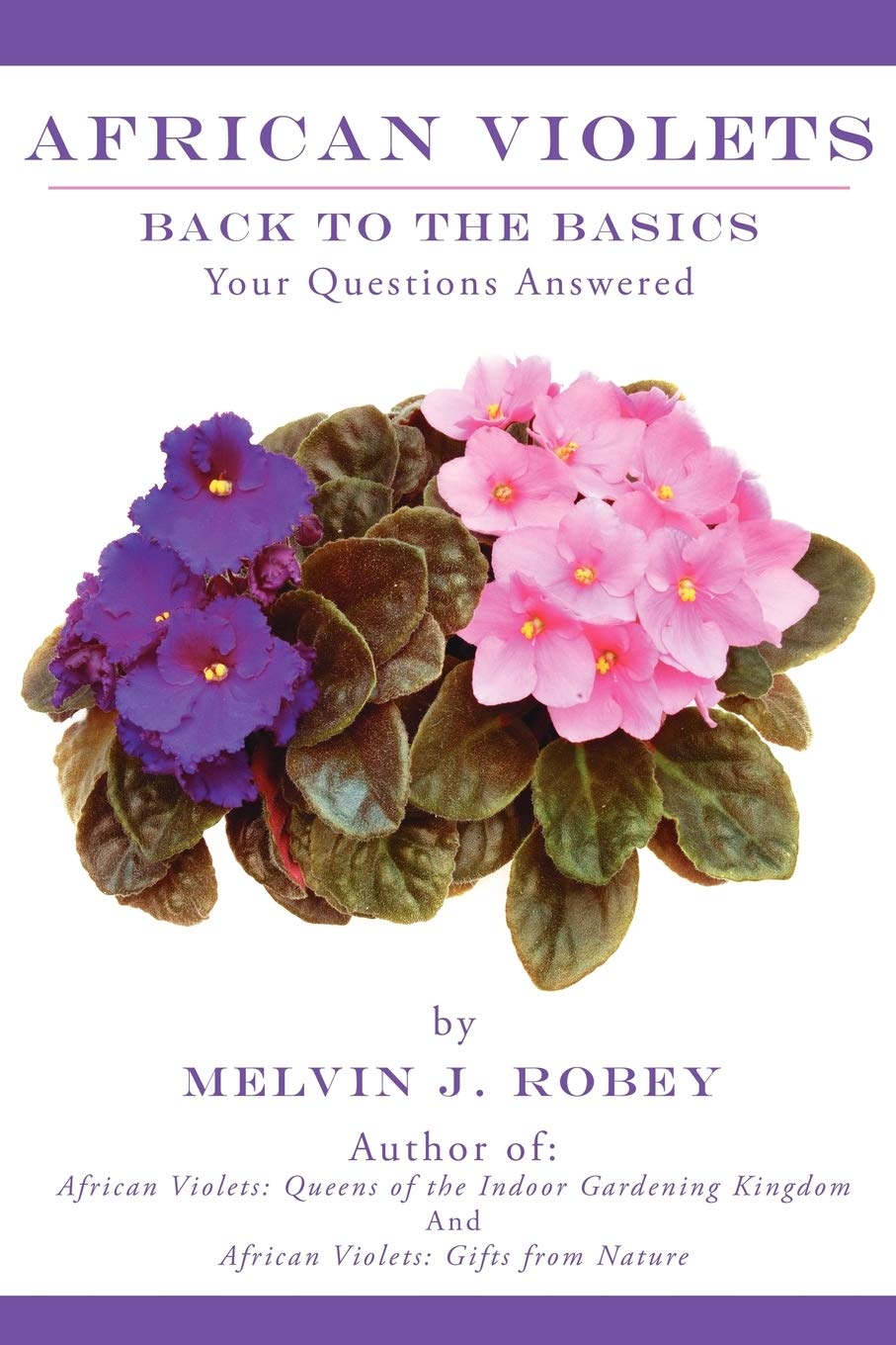 Snapklik.com : African Violets Back To The Basics: Your Questions Answered