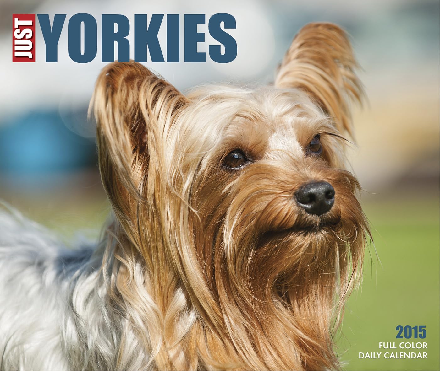 Just Yorkies 2015 Box Calendar: Willow Creek Press: 9781623435042 ...