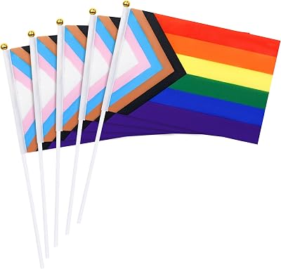 Amazon.com : AGAS Official Auto Racing Flag Set - Set of 7 Flags ...