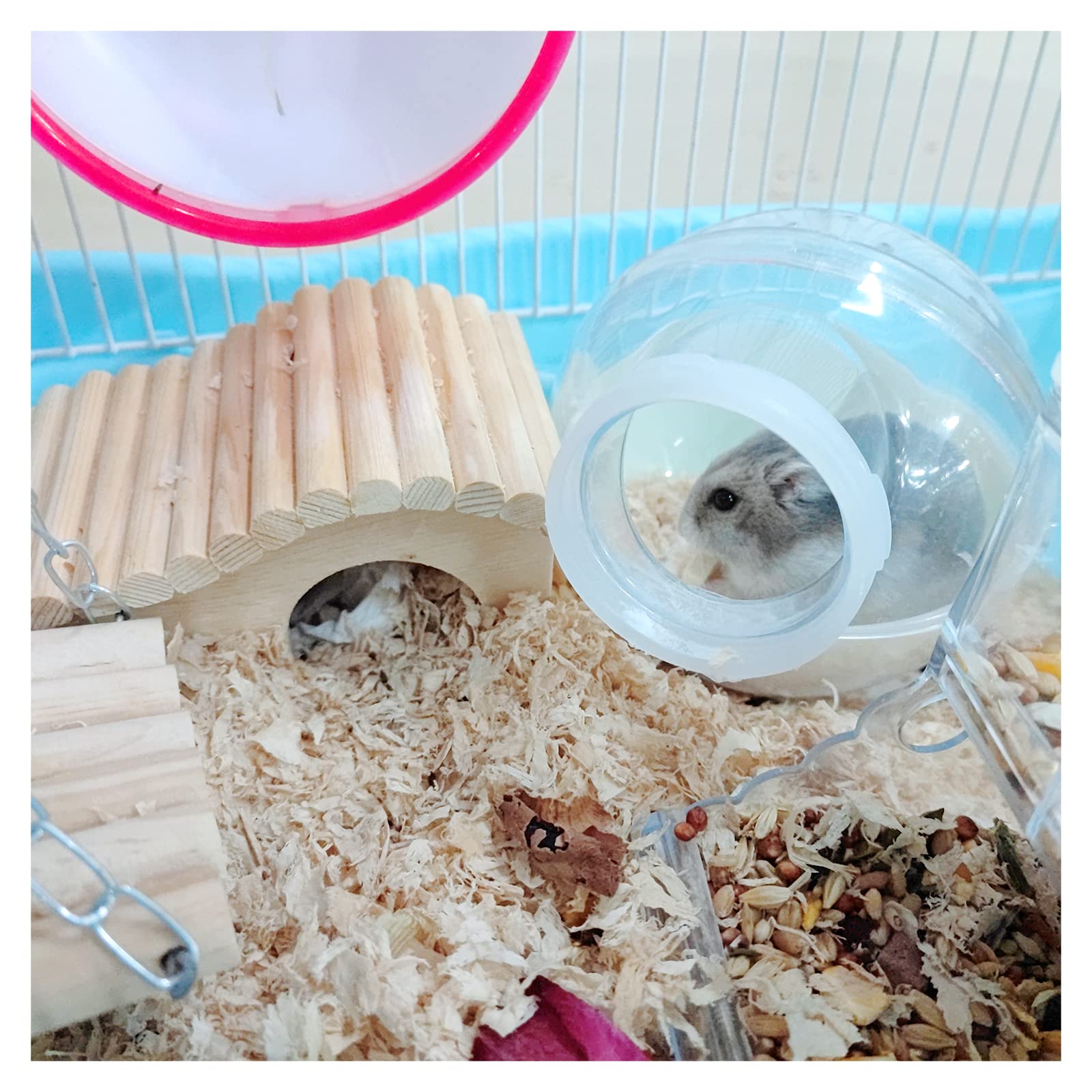 Robo Dwarf Hamster Cages
