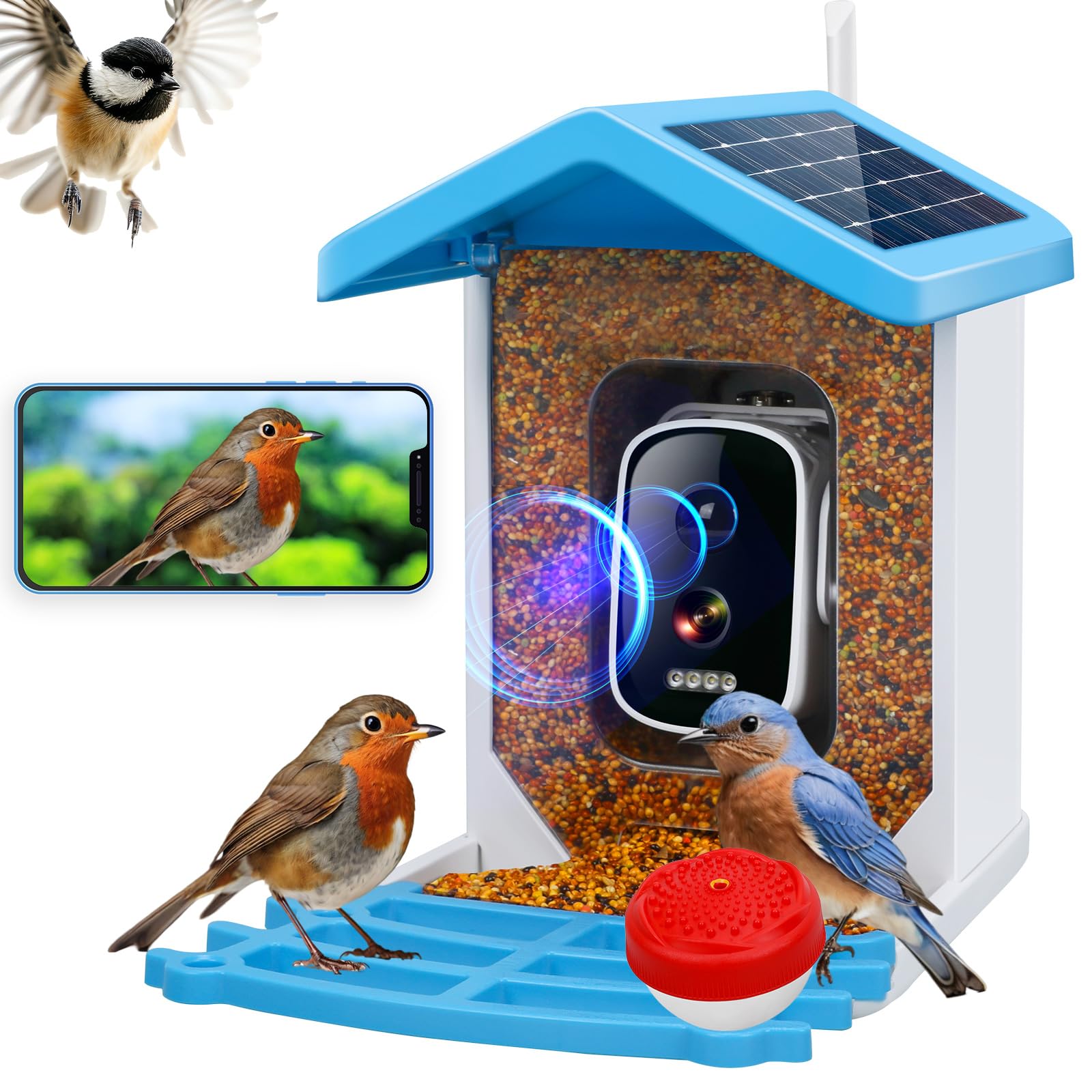 Amazon.com : Smart Bird Feeder with Camera AI Identify,Smart Solar ...
