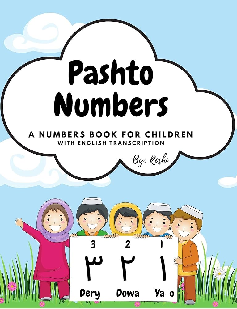 Pashto Math Book SALE Less Than Zero (Negative Numbers): MathStart