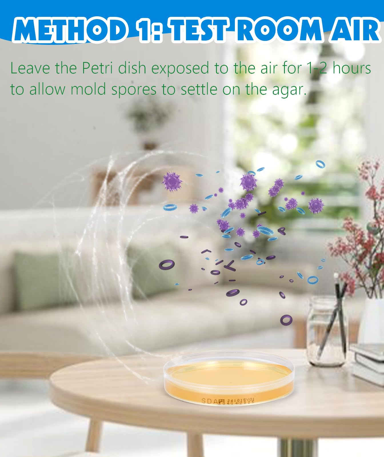 Snapklik.com : Mold Test Kit For Home, MUZAMOX Black Mold Testing Kit ...