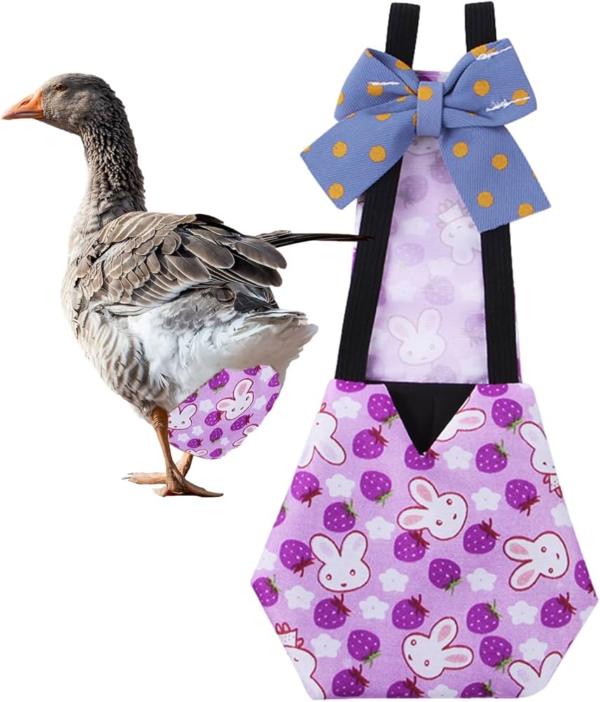 Chicken Clothes For Real Chickens DoubleFill 6 Pcs Washable Chicken ...