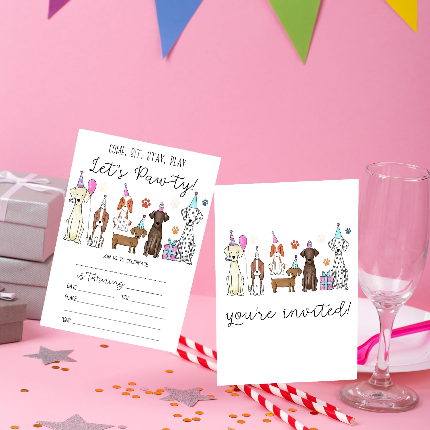 Come Sitstay Birthday Invitation