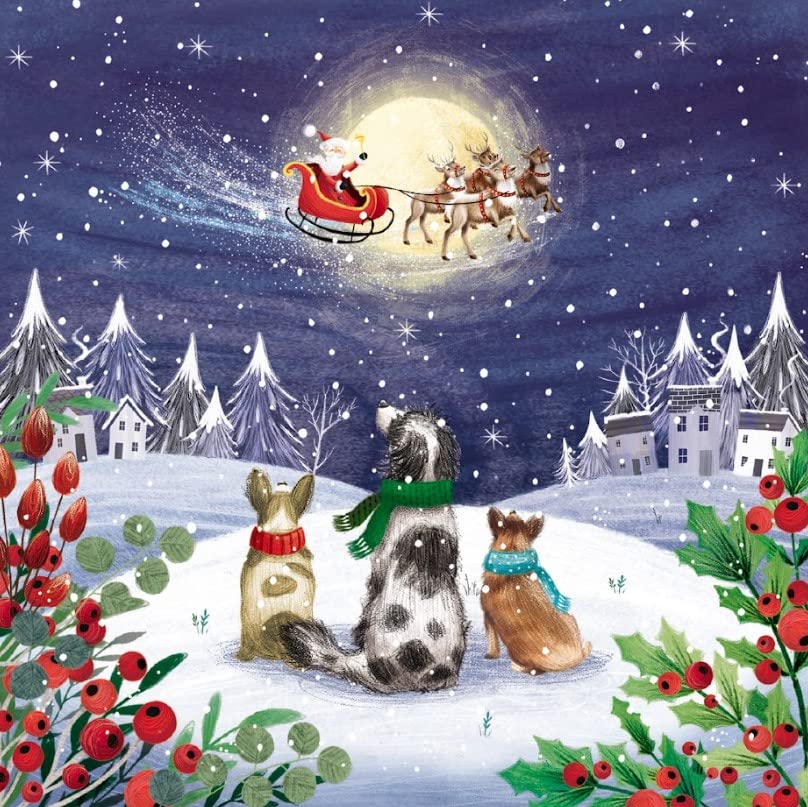Charity Christmas Cards – Dogs Watching Santa’s Sleigh – Eco-Friendly ...