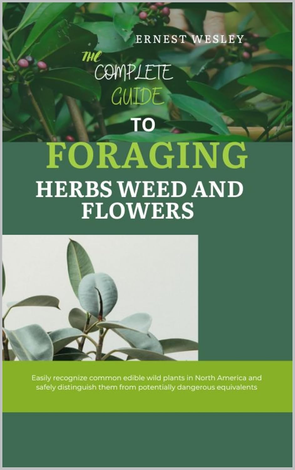 The Complete Guide to Foraging Herbs, Weeds, and Flowers: Easily recognize common edible wild ...