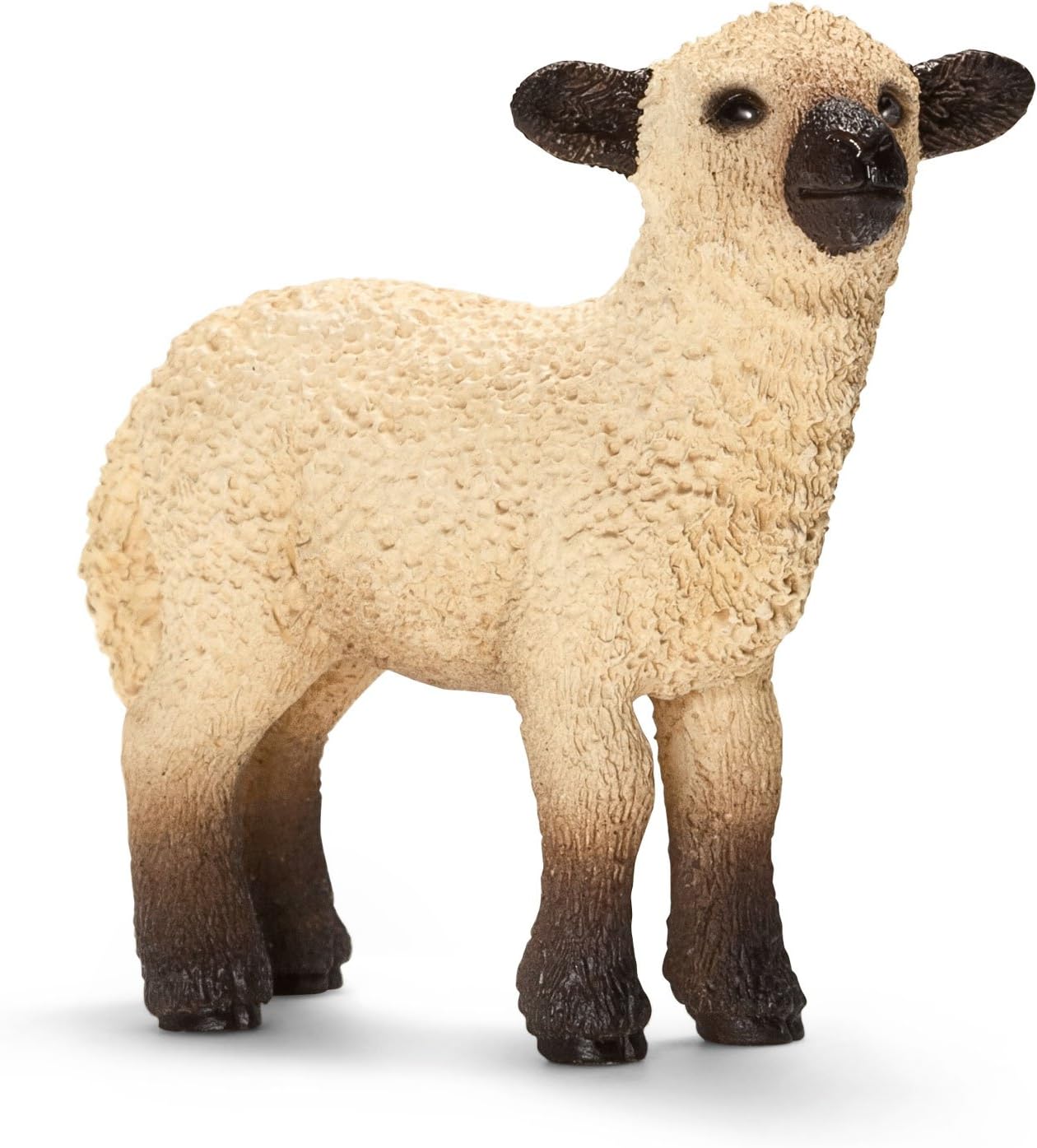 Amazon.com: Schleich Shropshire Lamb : Schleich: Toys & Games