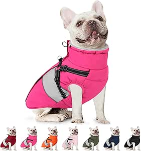 Amazon.com : AOFITEE Dog Coat, Warm Dog Jacket with Harness Built in, Waterproof Coats for Small ...