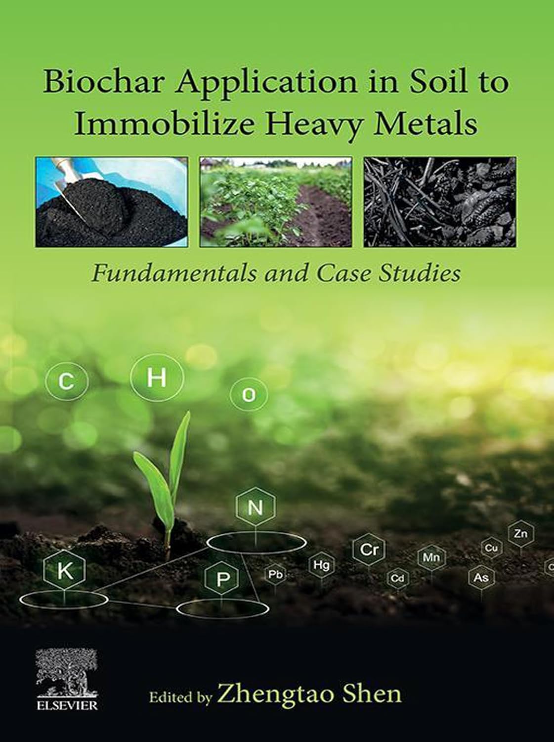 Biochar Application in Soil to Immobilize Heavy Metals: Fundamentals ...