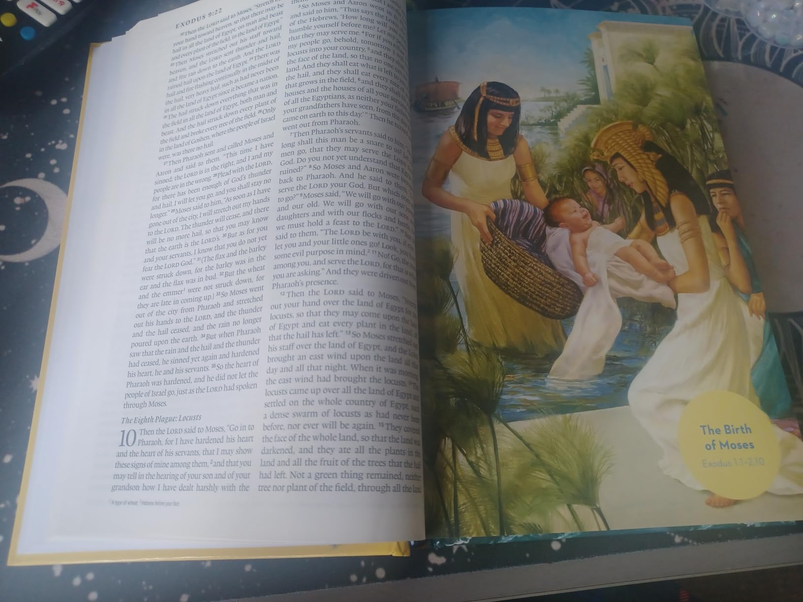 ESV Holy Bible for Kids (Hardcover): English Standard Version : ESV ...