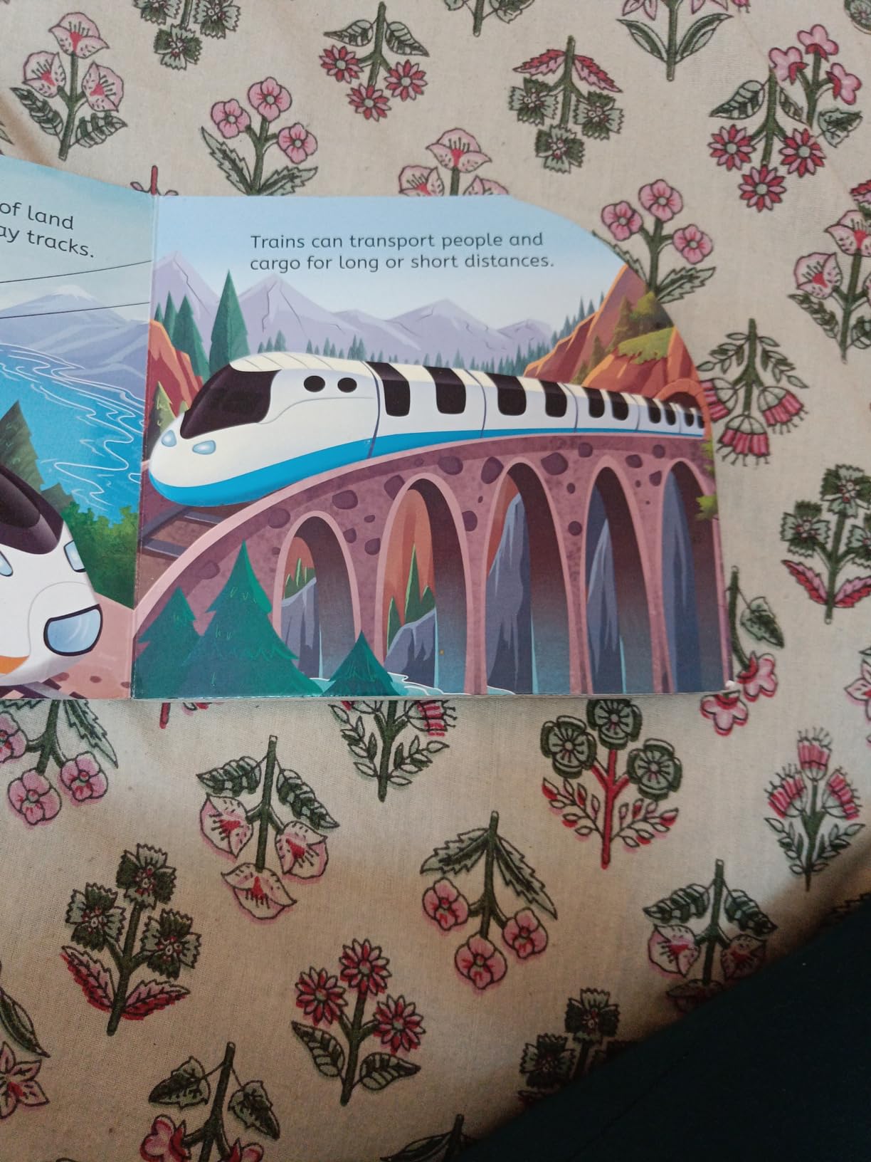 My First Shaped Board Books For Children: Transport - Train [Board book ...