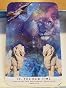 Amazon.com: The Lyran Oracle StarSeed Book & Deck - Stunning 44 Oracle ...