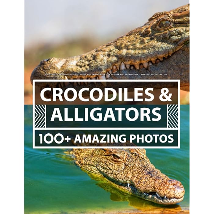 Buy Crocodiles and Alligators Pictures and Photography - A Picture and Photo Book - Amazing Big ...