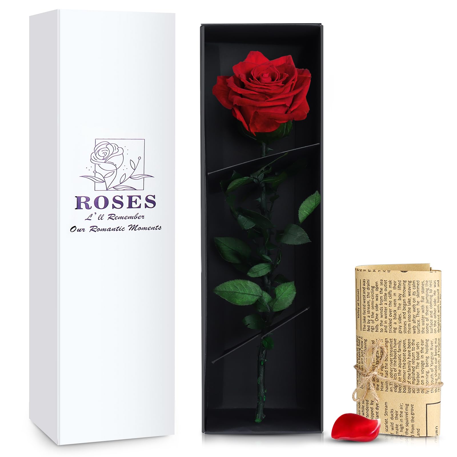 Amazon.com: Premium Infinity Rose Flowers Giftbox, Valentines Day Gifts ...