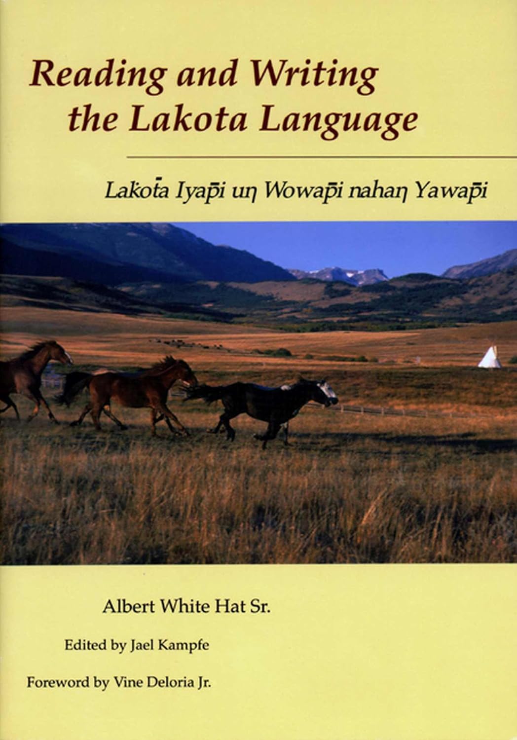 Amazon.com: Reading and Writing the Lakota Language: 9780874805727 ...