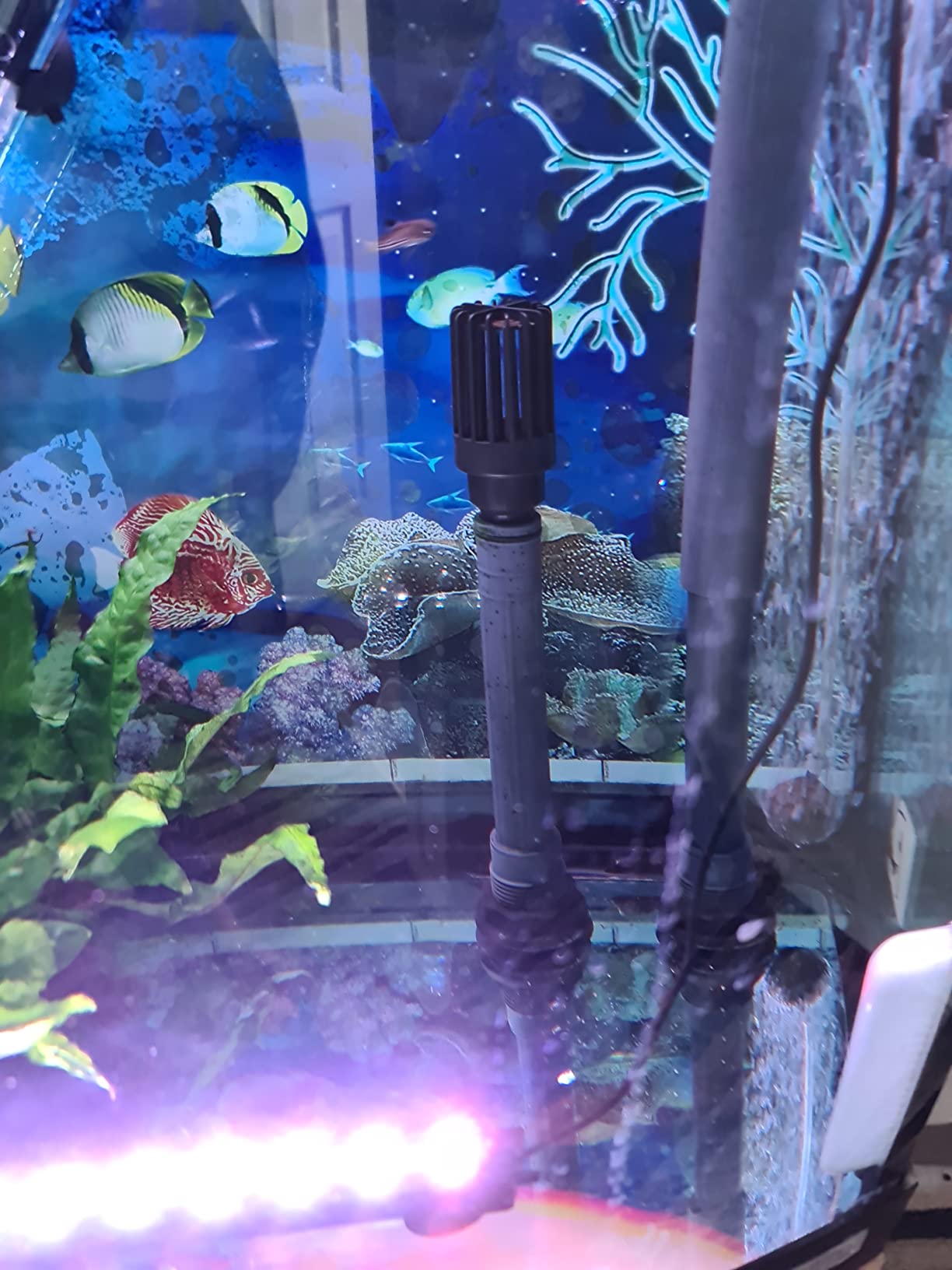 Fluval Intake Strainer with Checkball 305, 405, 306, 406 External ...