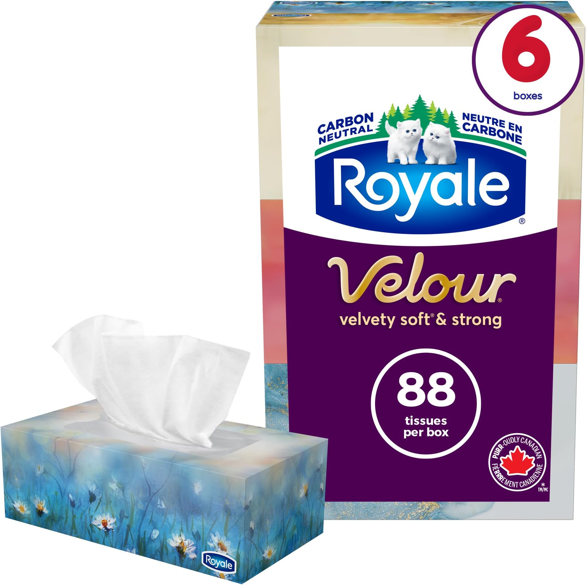 Royale Velour 3 Ply Facial Tissues, 6 Flat Boxes, 88 Tissues Per Box ...