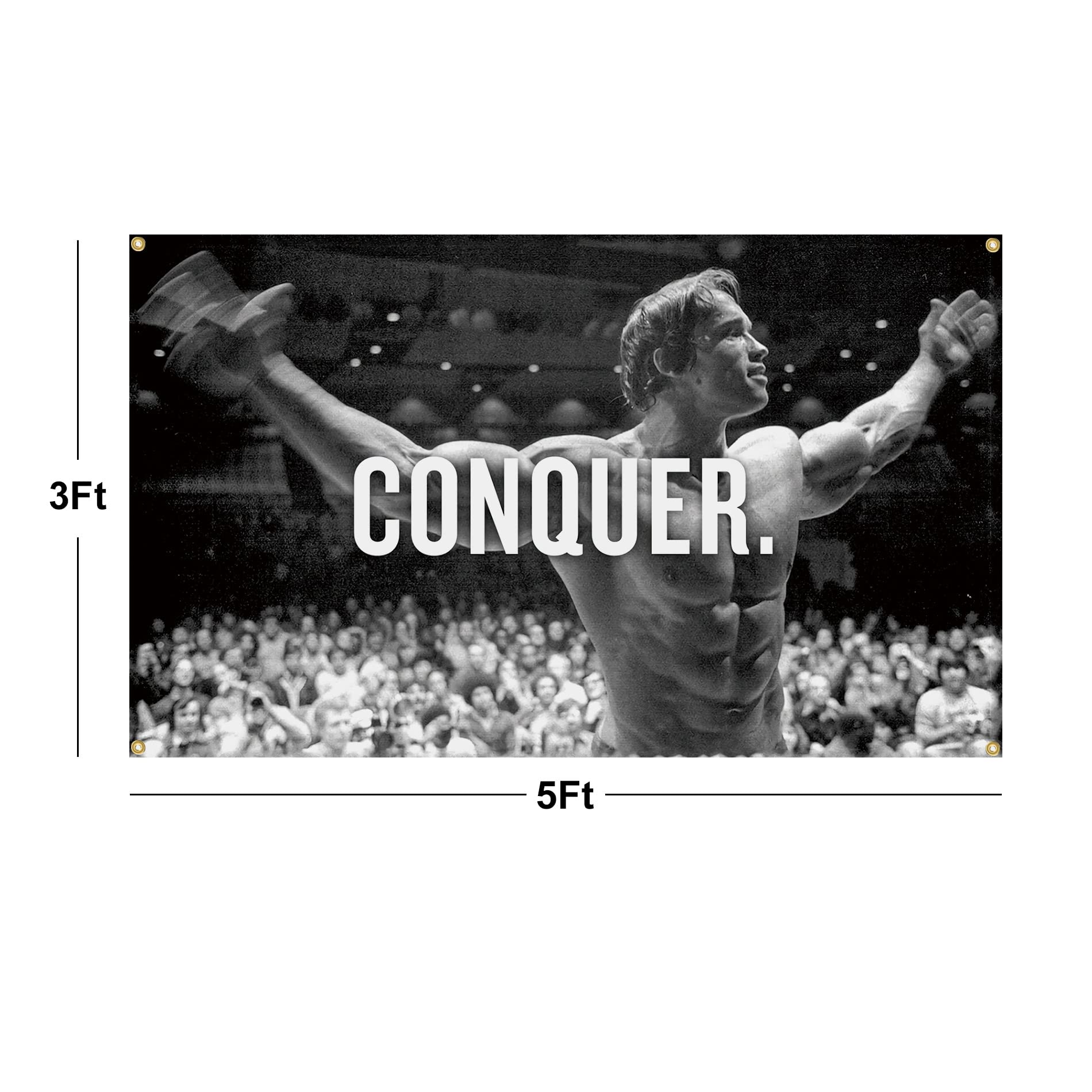 Arnold Schwarzenegger Conquer Without Word